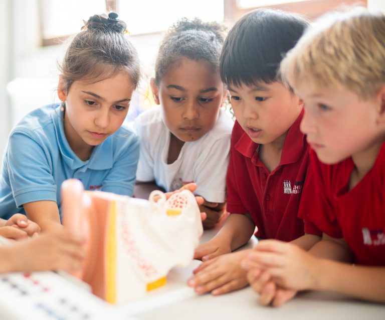 Internationale Schule - Moderne Schule Hamburg - Private Schule